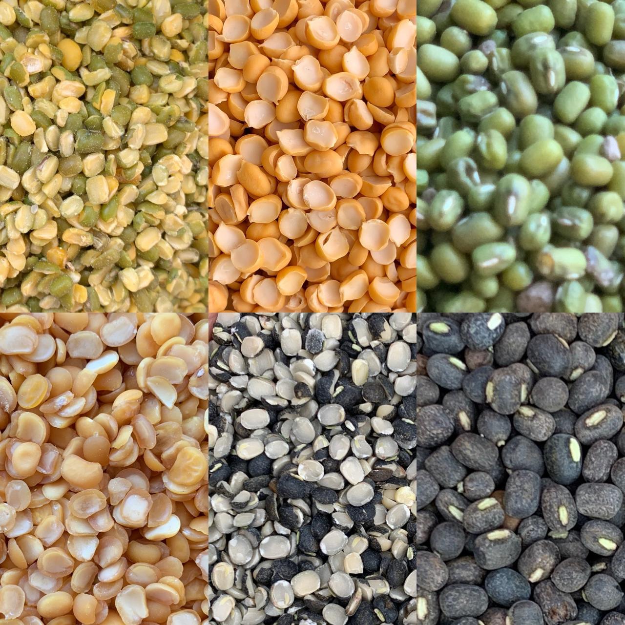 Pulses – Aranya India