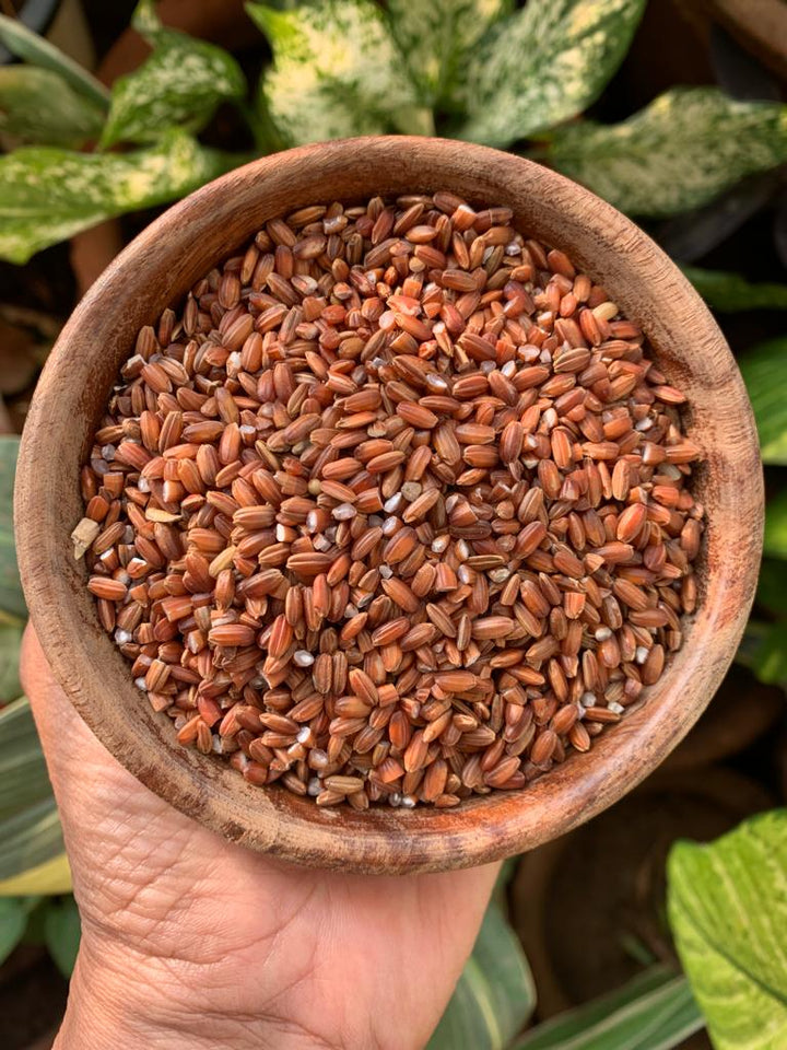 Aranya India – Aranya India